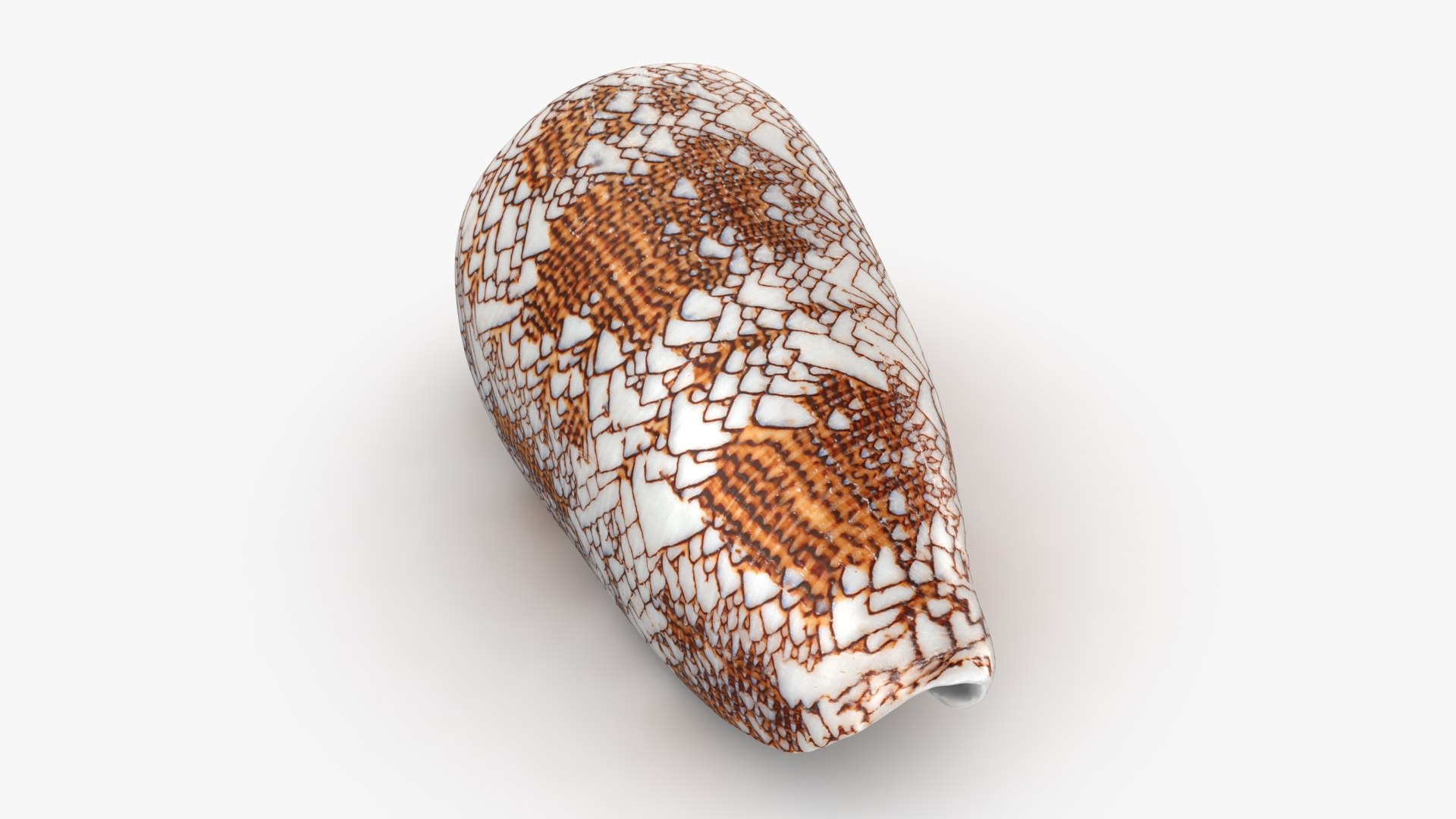 Textile Cone 3D model - TurboSquid 2044065