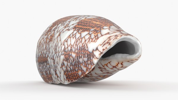 modelo 3d Textile Cone - TurboSquid 2044065