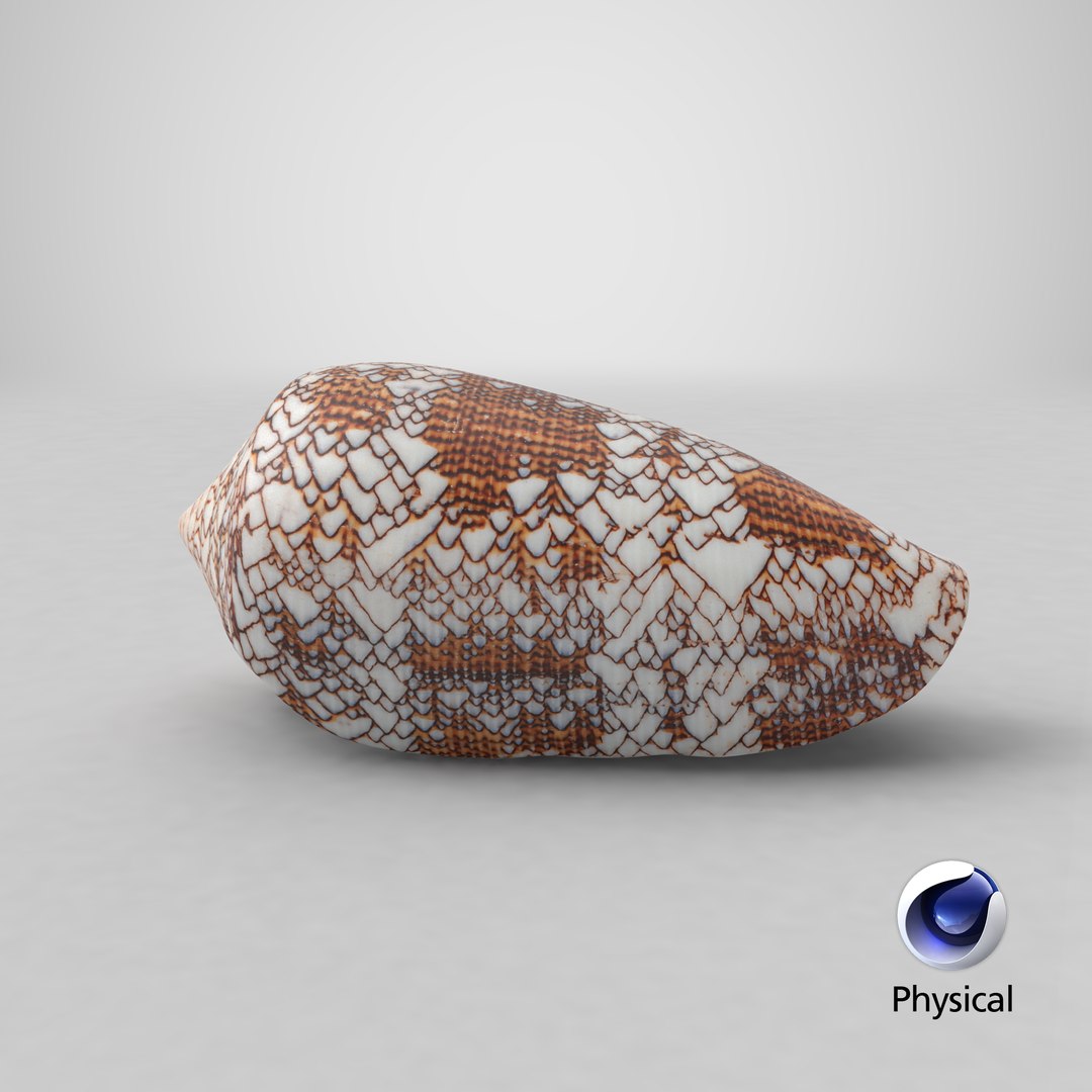 Textile Cone 3D Model - TurboSquid 2044065