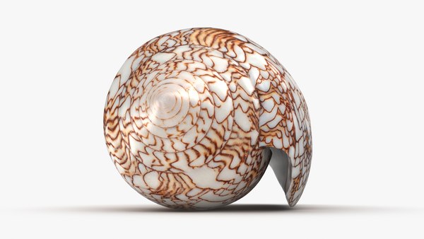 modelo 3d Cono textil - TurboSquid 2044065