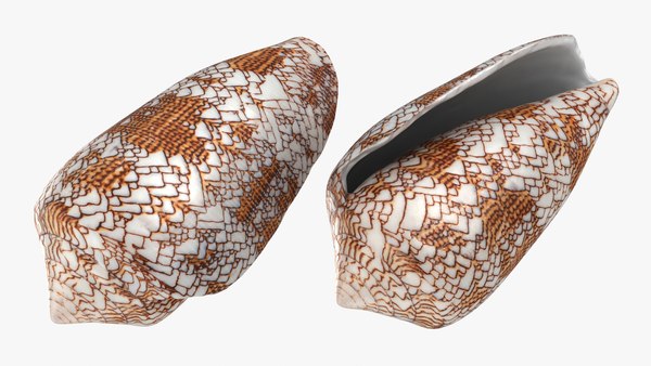 modelo 3d Cono textil - TurboSquid 2044065