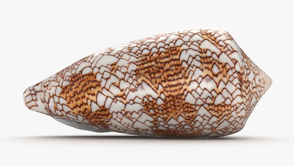 modelo 3d Cono textil - TurboSquid 2044065