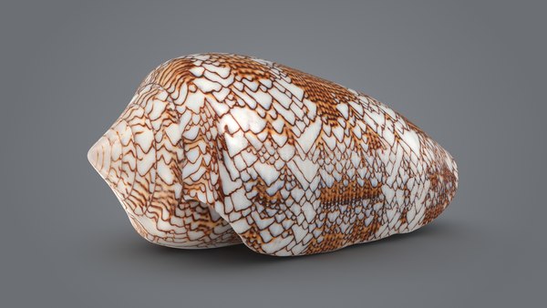 modelo 3d Cono textil - TurboSquid 2044065