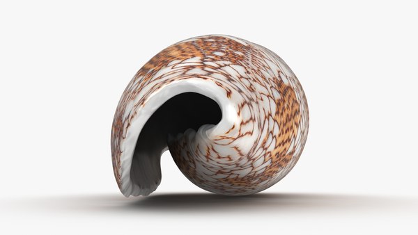 modelo 3d Cono textil - TurboSquid 2044065