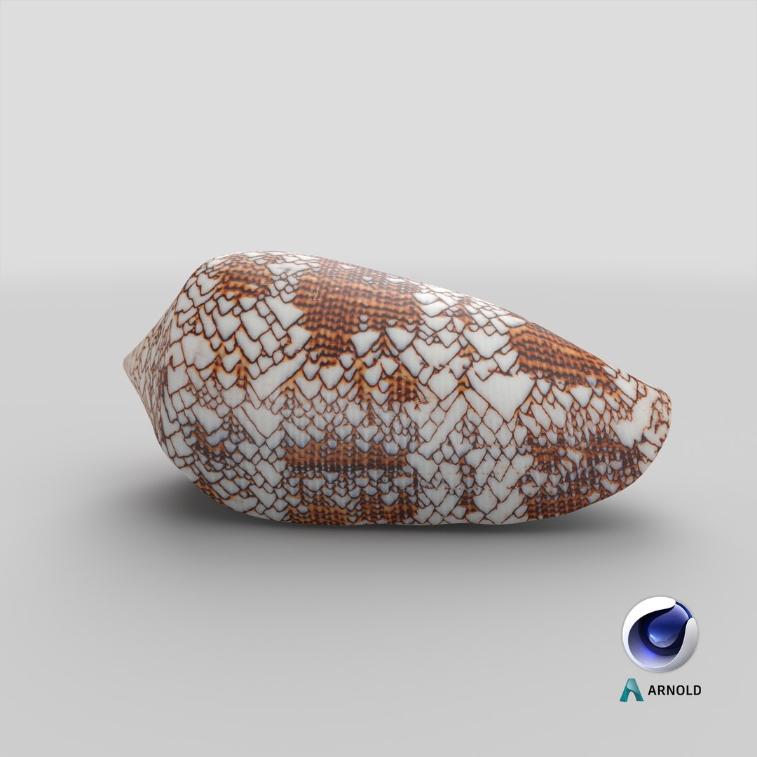 Textile Cone 3D Model - TurboSquid 2044065