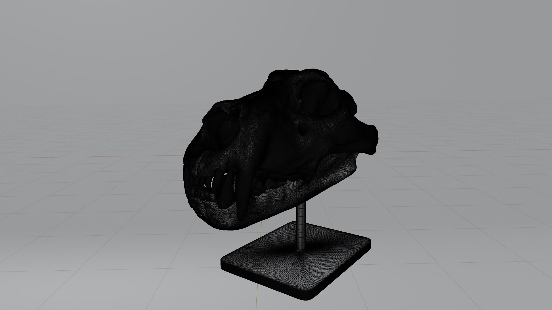 Lion Skull Model - TurboSquid 1848819