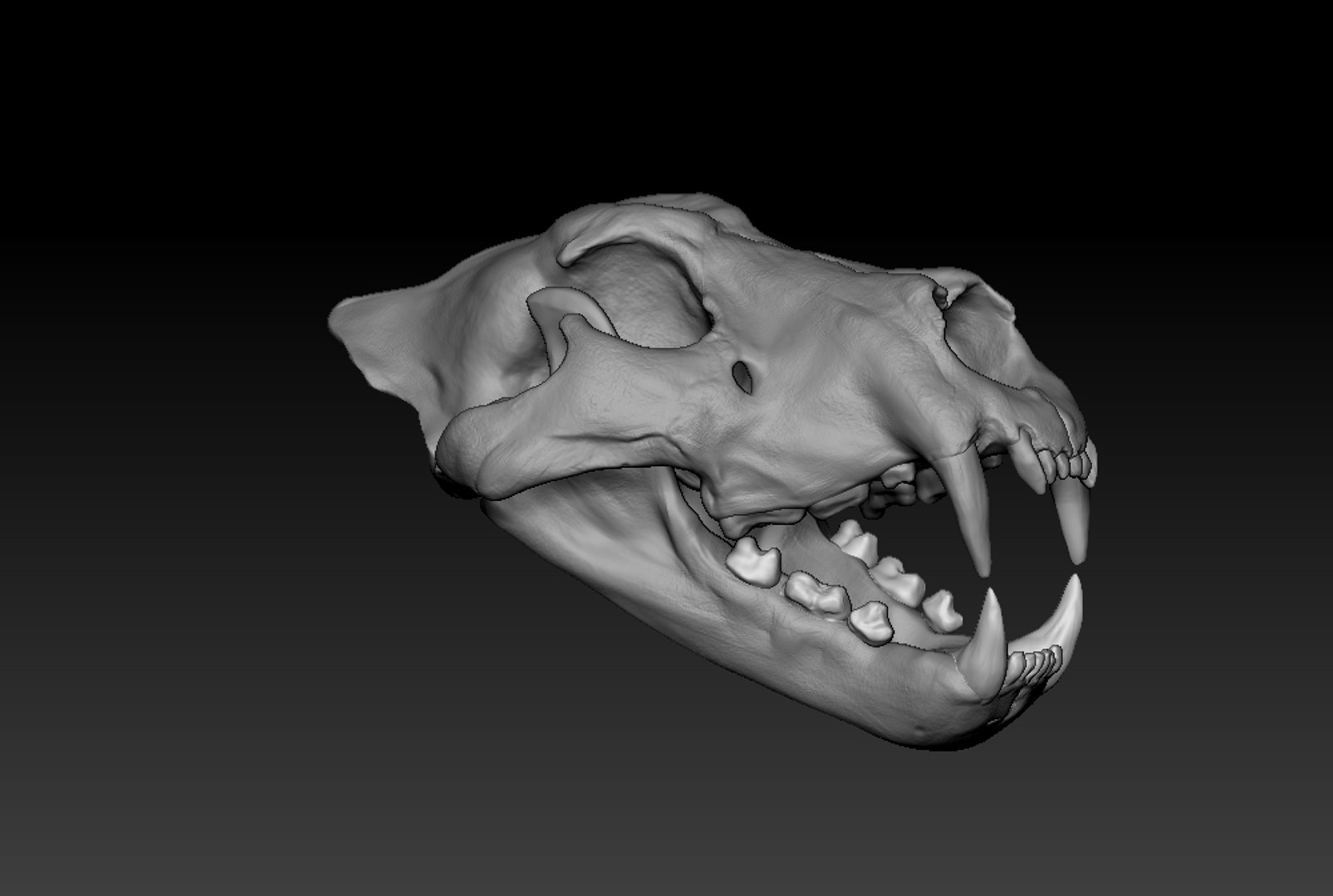 Lion Skull Model - TurboSquid 1848819