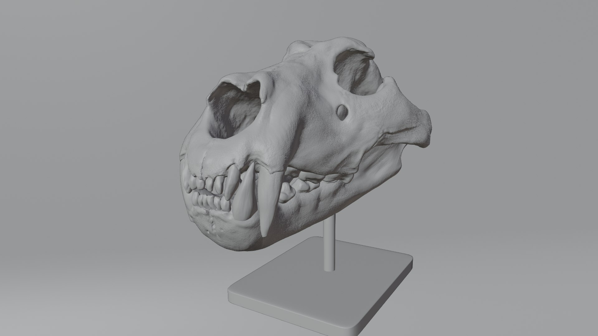 Lion Skull Model - TurboSquid 1848819