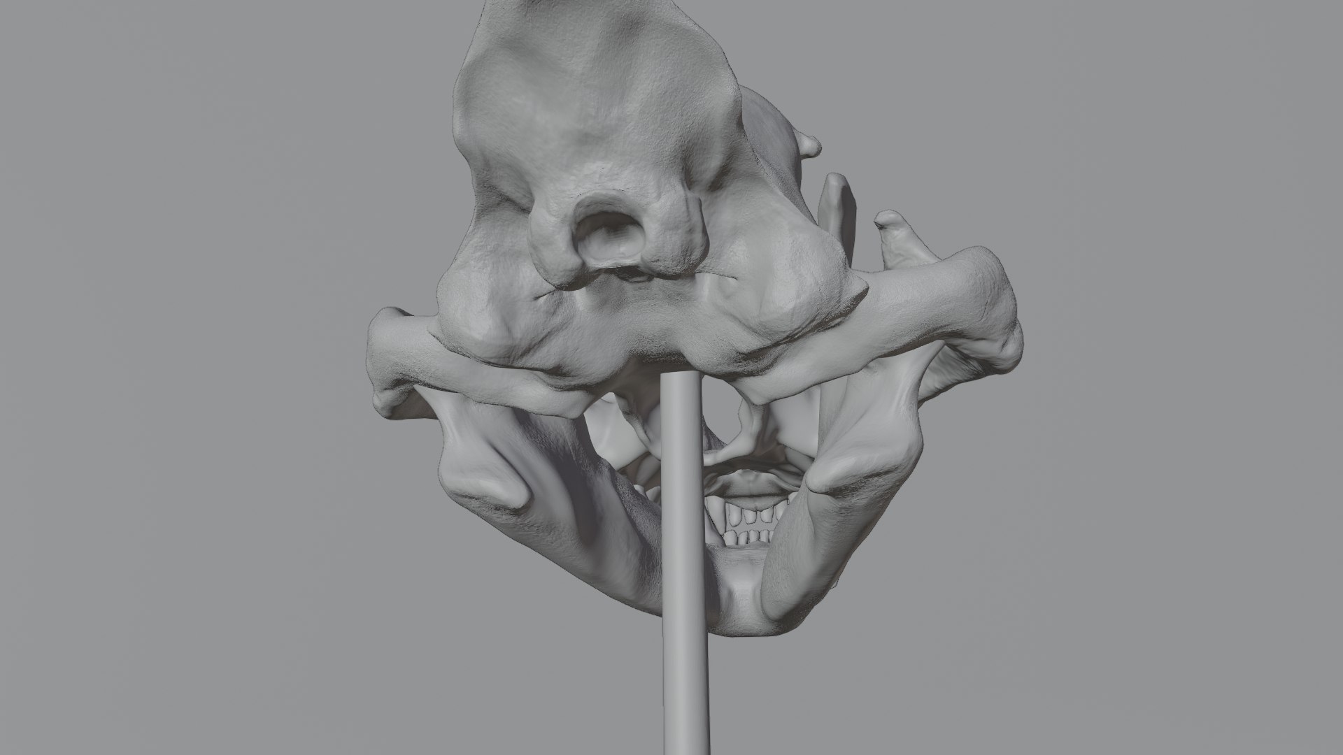 Lion Skull Model - TurboSquid 1848819