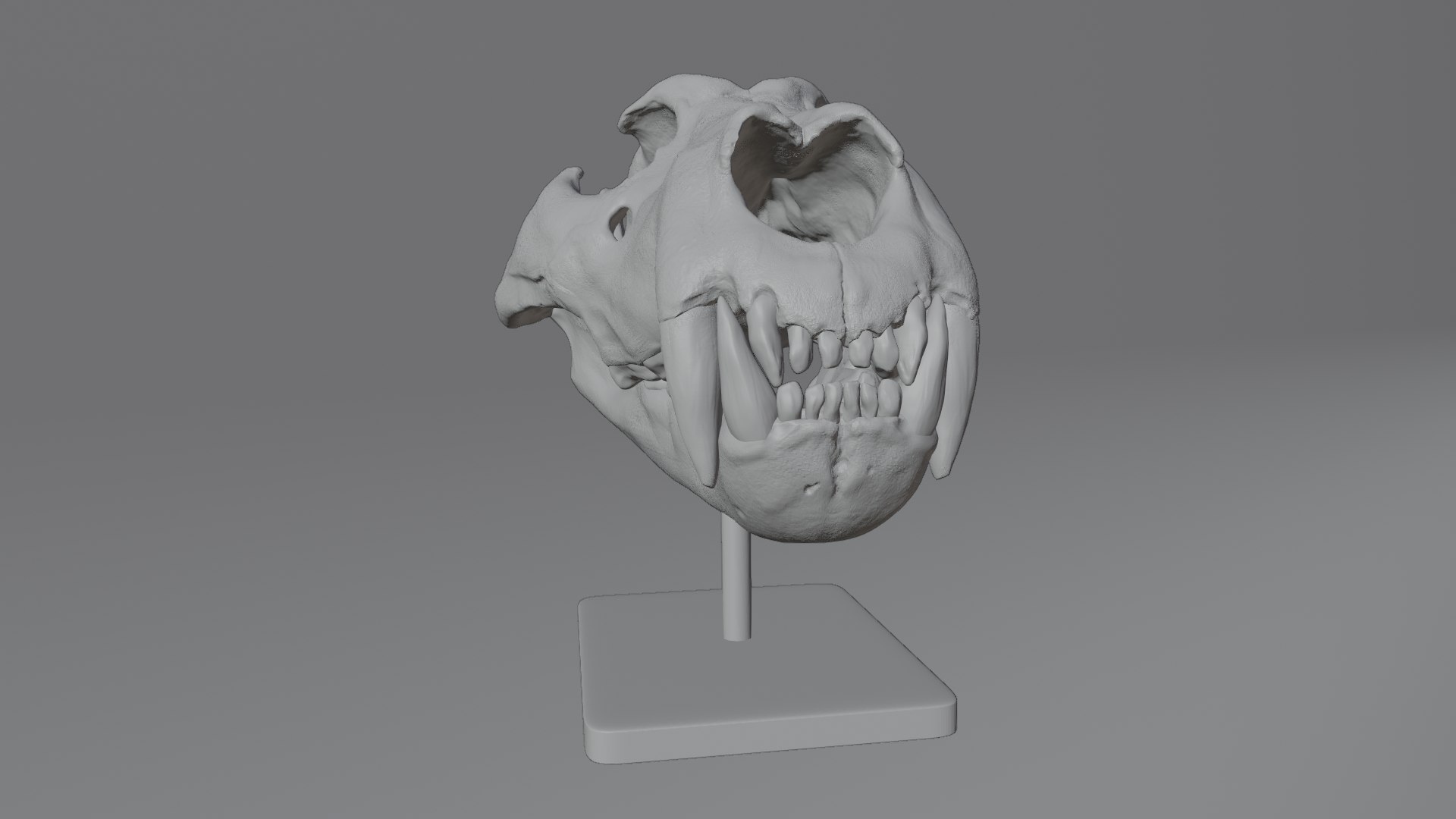 Lion Skull Model - TurboSquid 1848819
