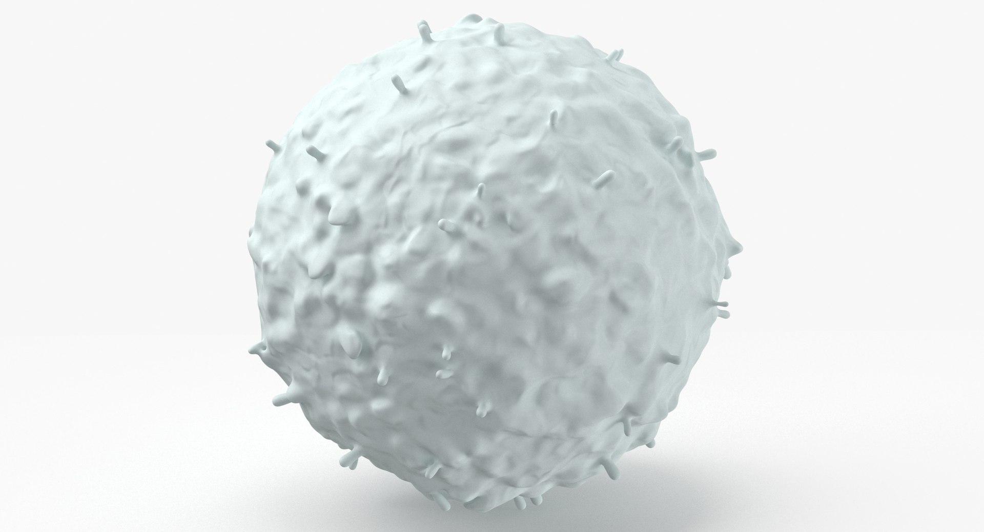 Animal Cell White Model - TurboSquid 1925411