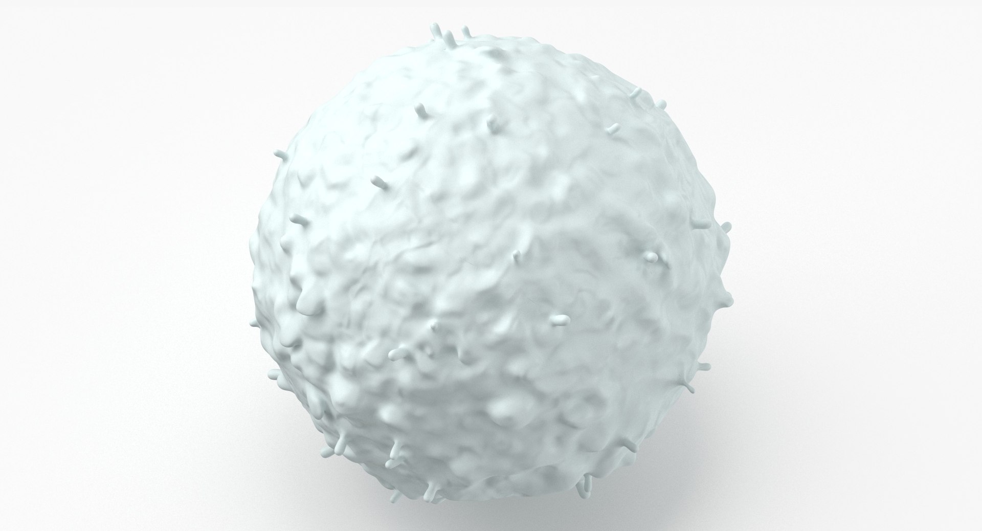 Animal Cell White Model - TurboSquid 1925411