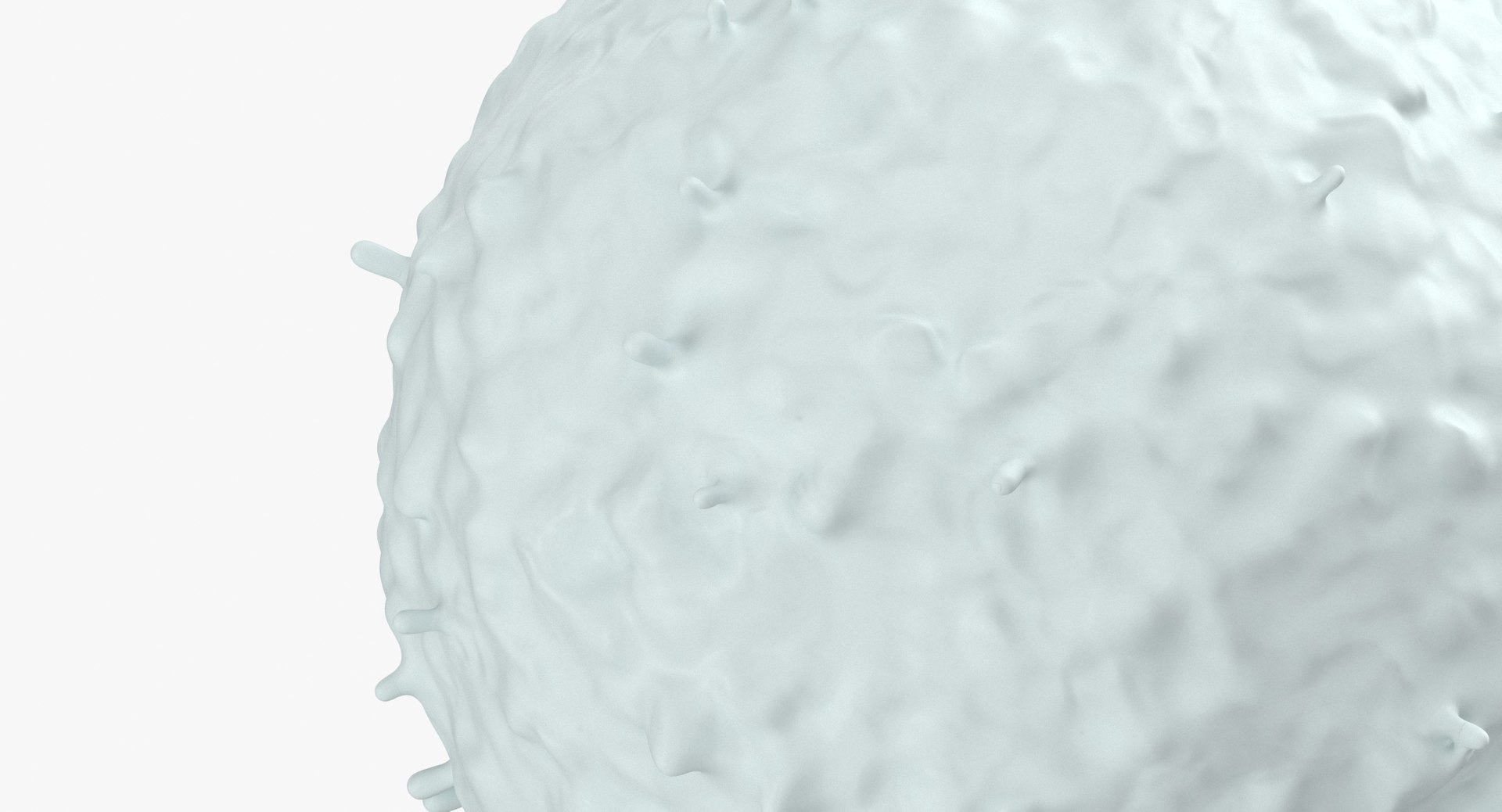 Animal Cell White Model - TurboSquid 1925411