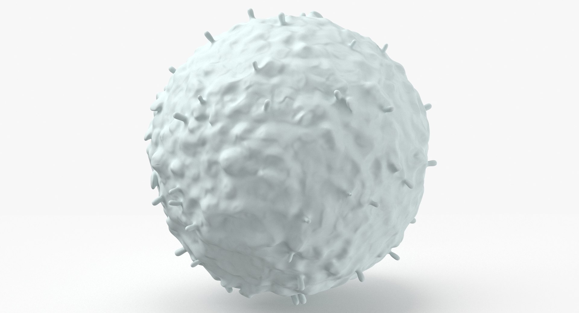 Animal Cell White Model - TurboSquid 1925411