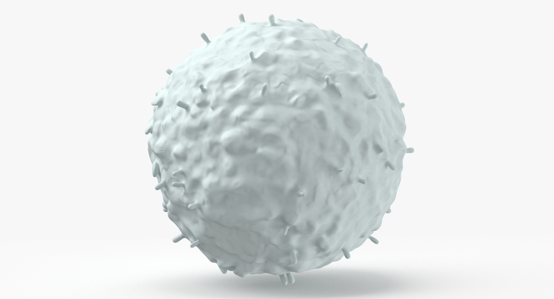 Animal Cell White Model - TurboSquid 1925411