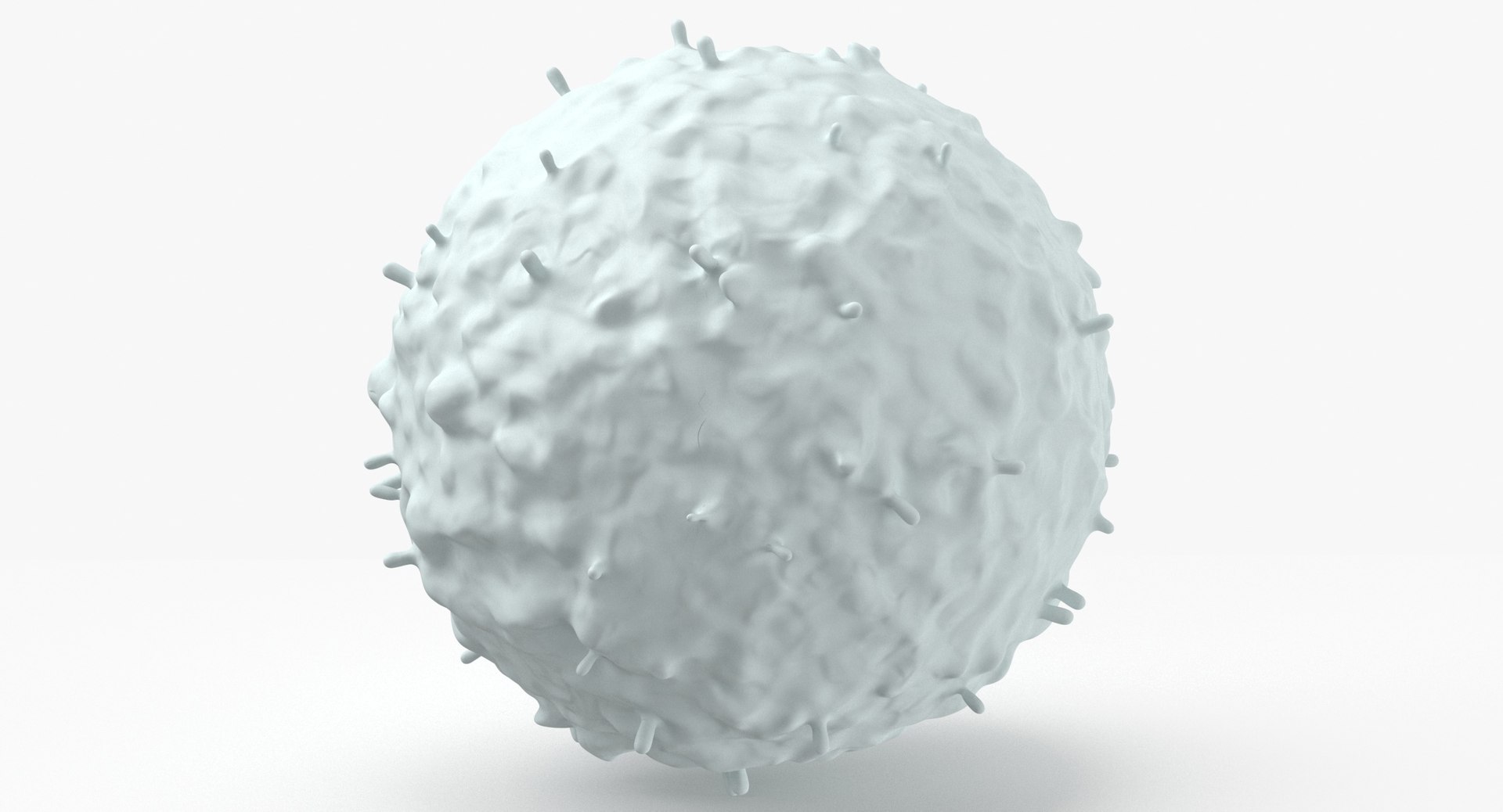 Animal Cell White Model - TurboSquid 1925411