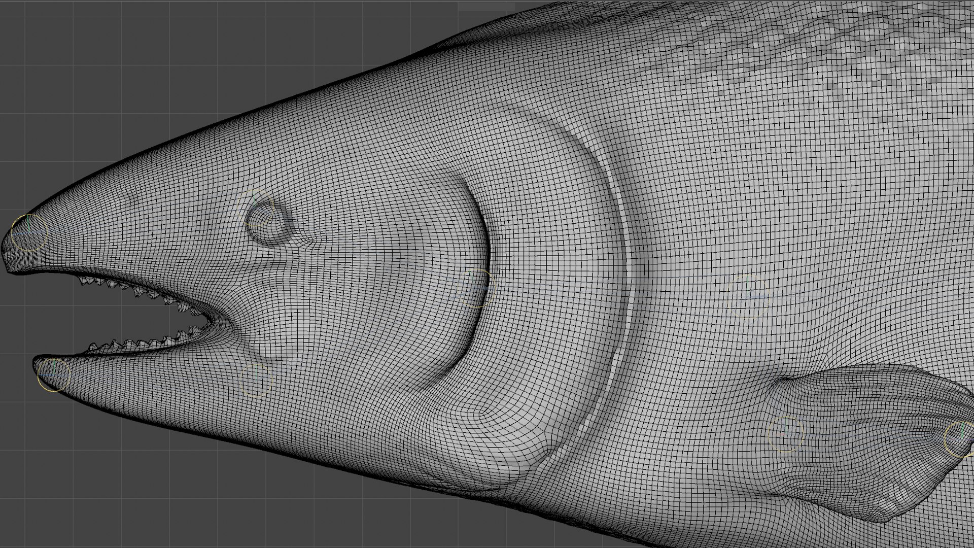 3D salmon rigged l746 model - TurboSquid 1567600