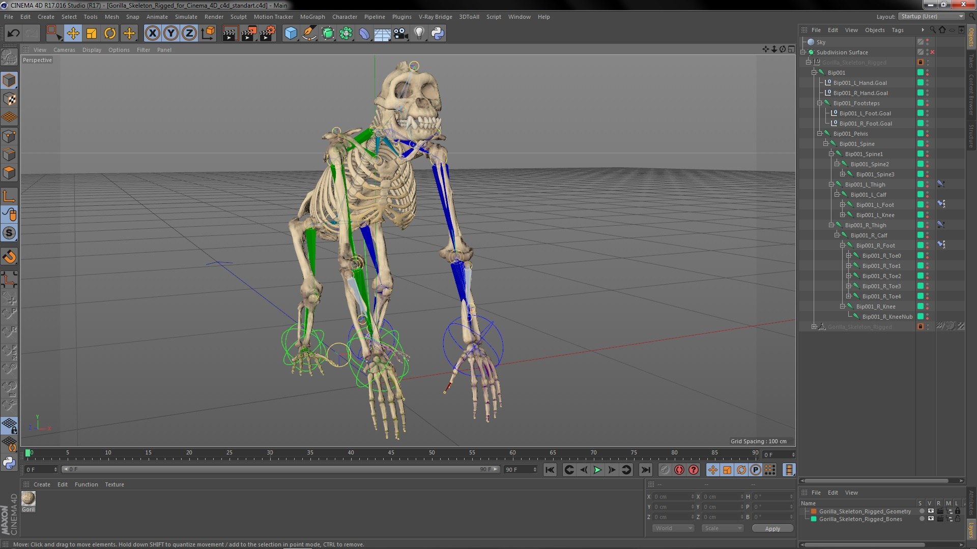 Gorilla Skeleton Rigged for Cinema 4D 3D model - TurboSquid 2062675