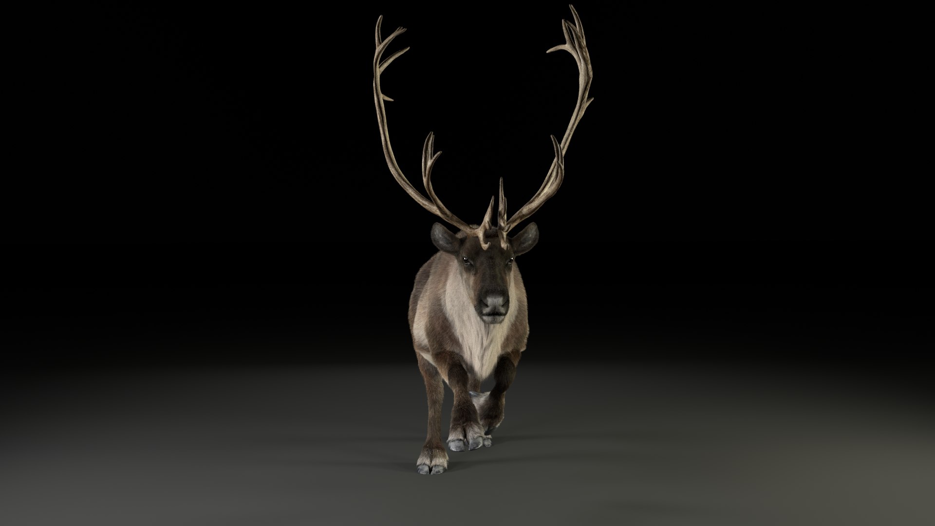 3D Reindeer Rigging Animation Male Model - TurboSquid 1641150