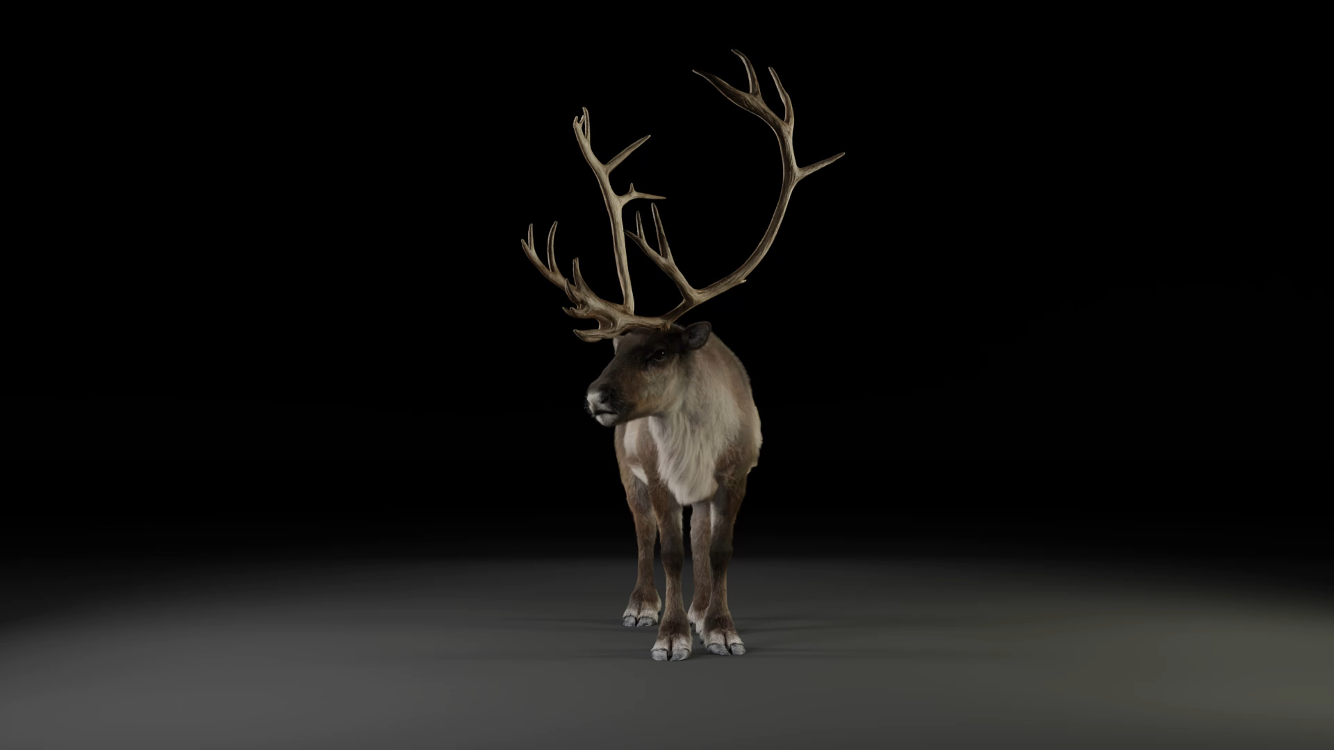 3D Reindeer Rigging Animation Male Model - TurboSquid 1641150