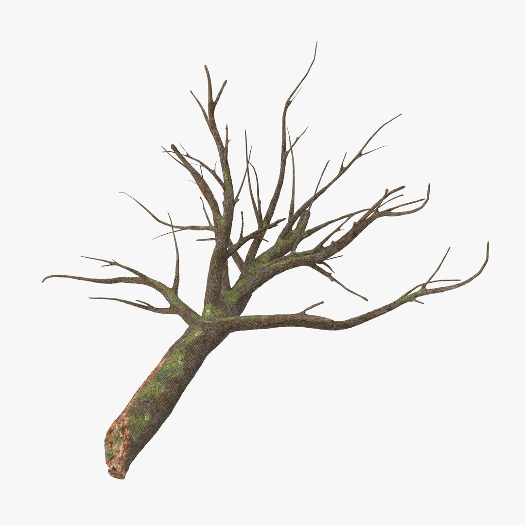Fallen Logs 3d Max