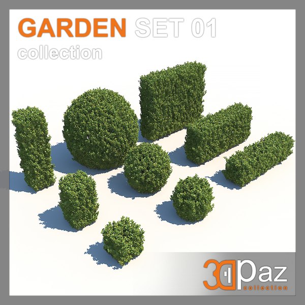 Boxwood 3D Models for Download | TurboSquid