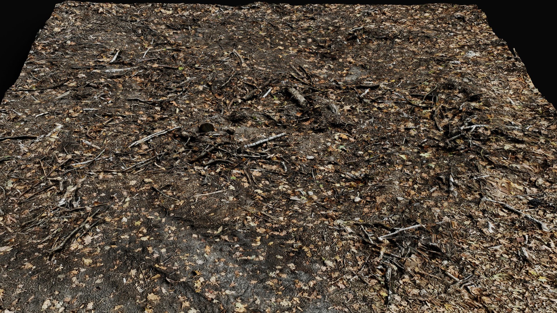 3D Forest Ground Cutted Tree Branches Leafs Part8 Photogrammetry Model ...