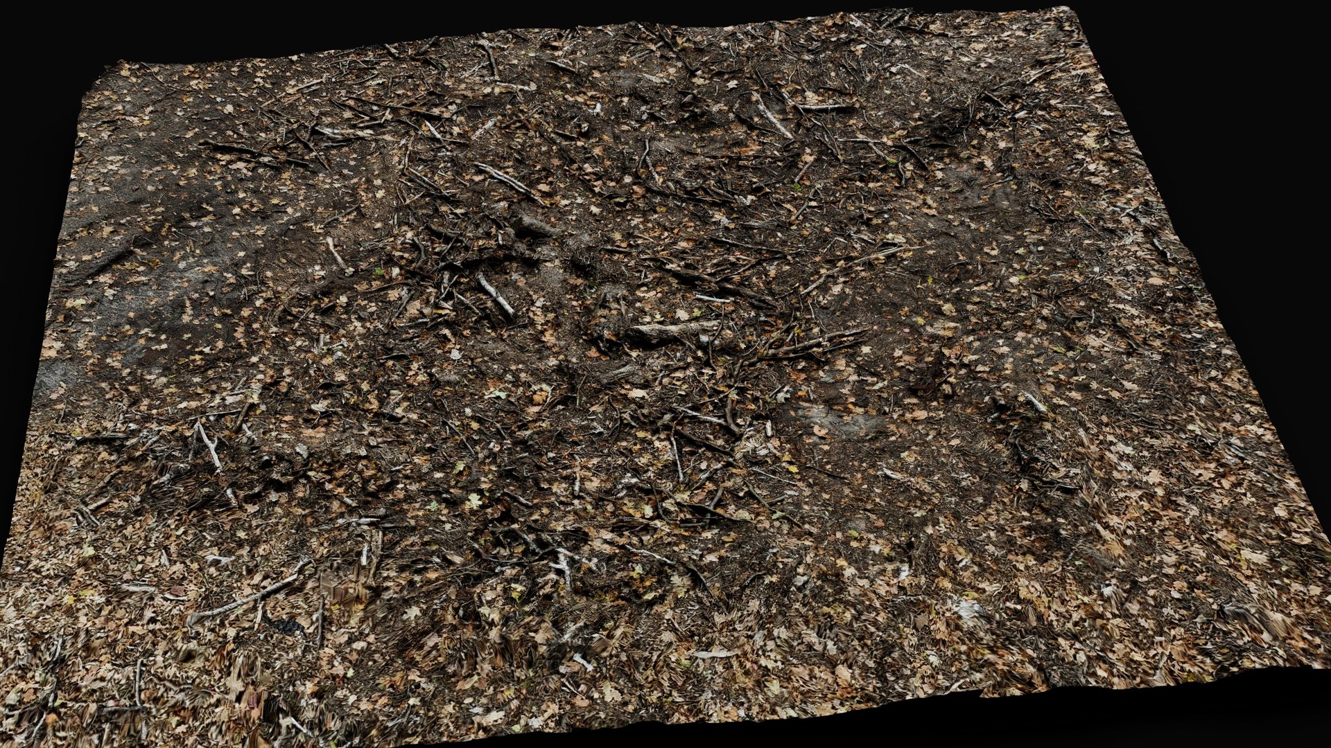 3D Forest Ground Cutted Tree Branches Leafs Part8 Photogrammetry Model ...