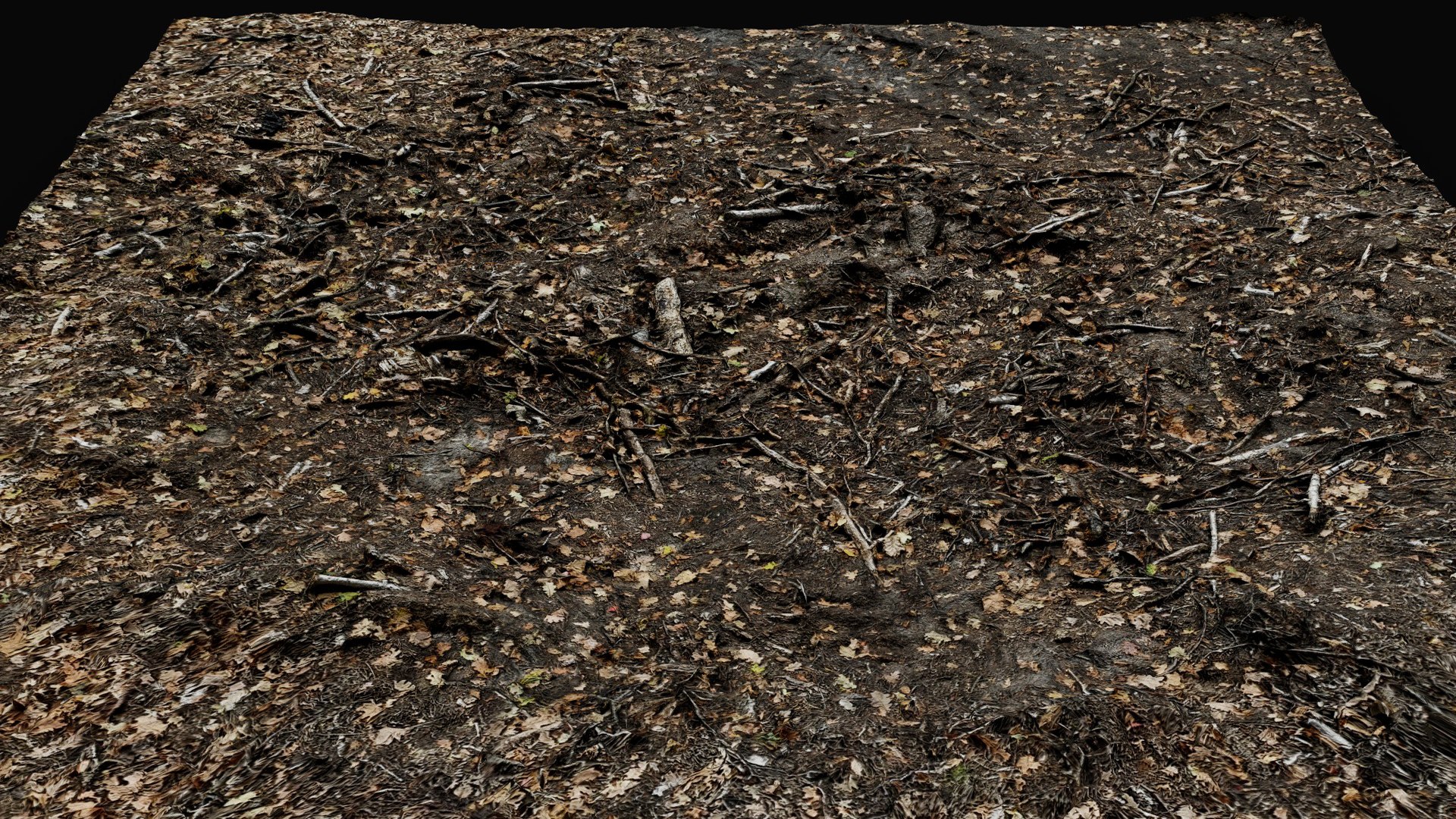 3D Forest Ground Cutted Tree Branches Leafs Part8 Photogrammetry Model ...