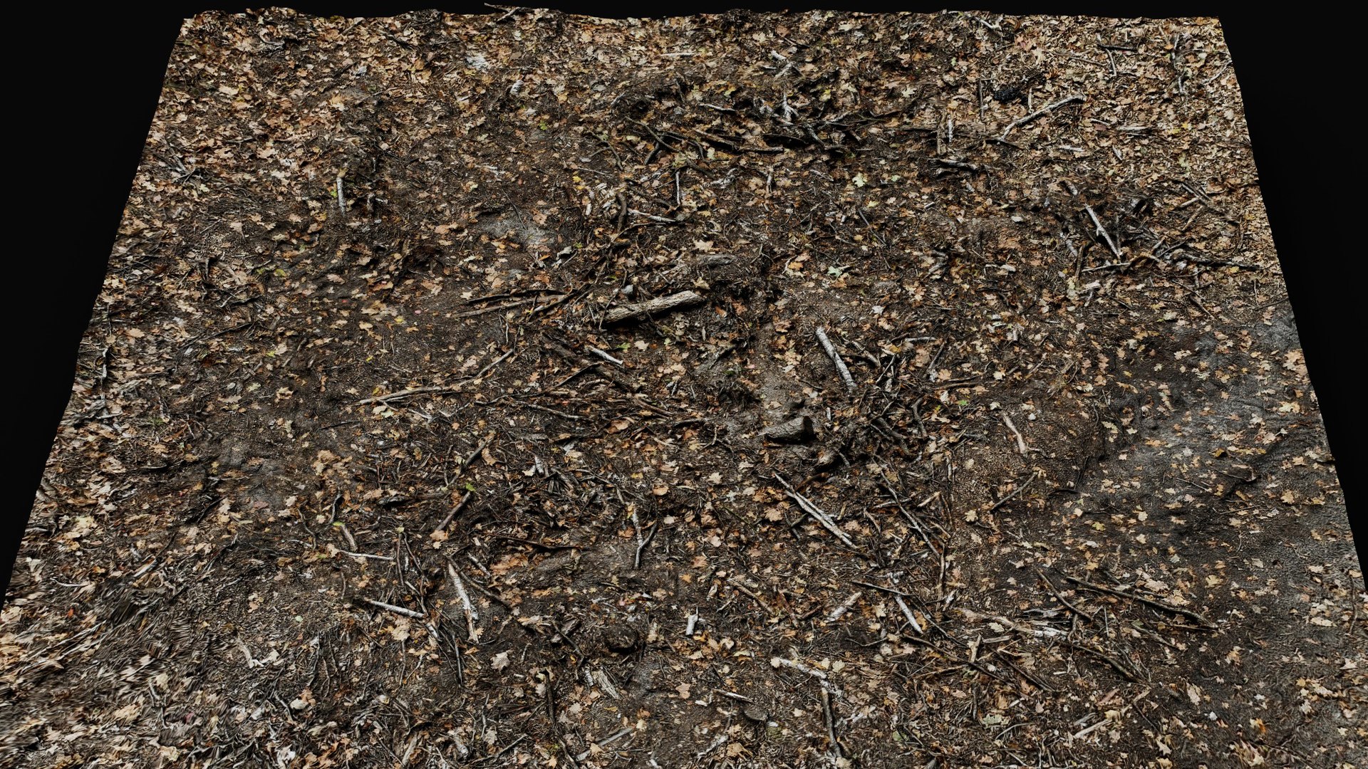 3D Forest Ground Cutted Tree Branches Leafs Part8 Photogrammetry Model ...