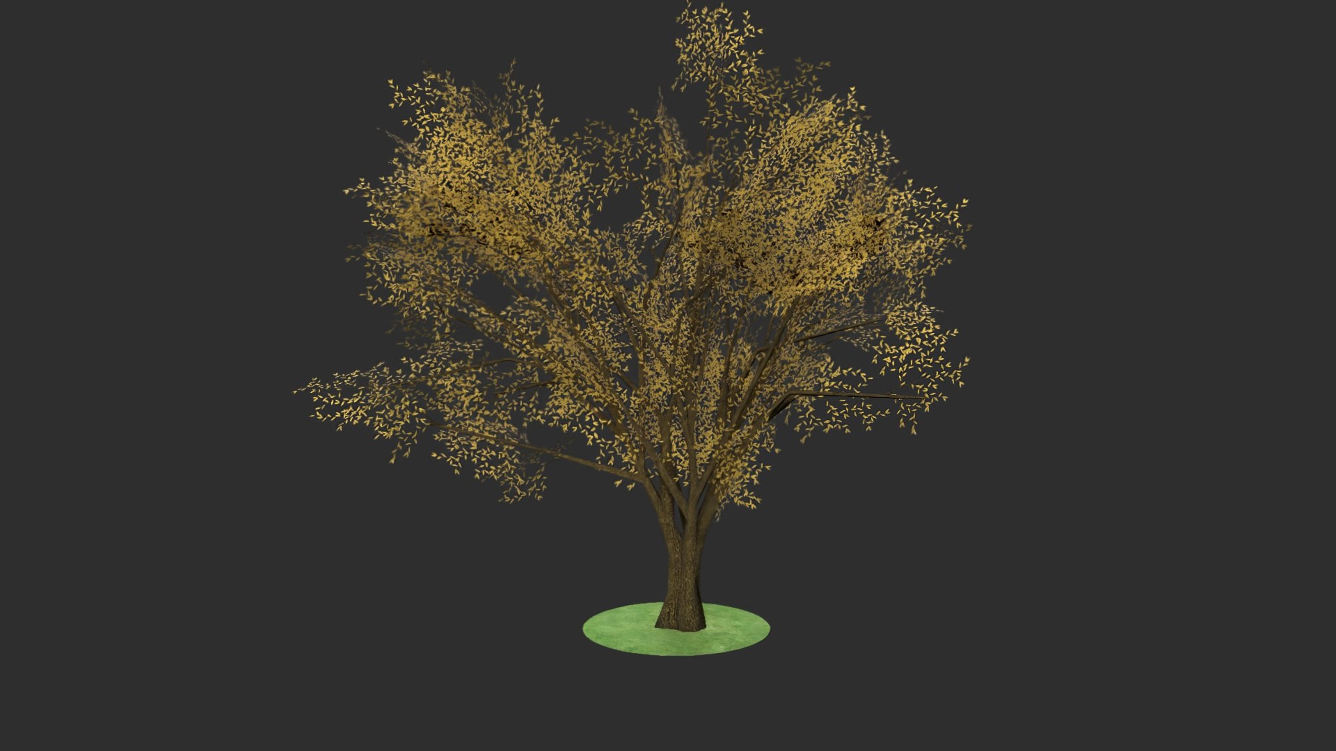 3D Almond Autumn Model - TurboSquid 1619470