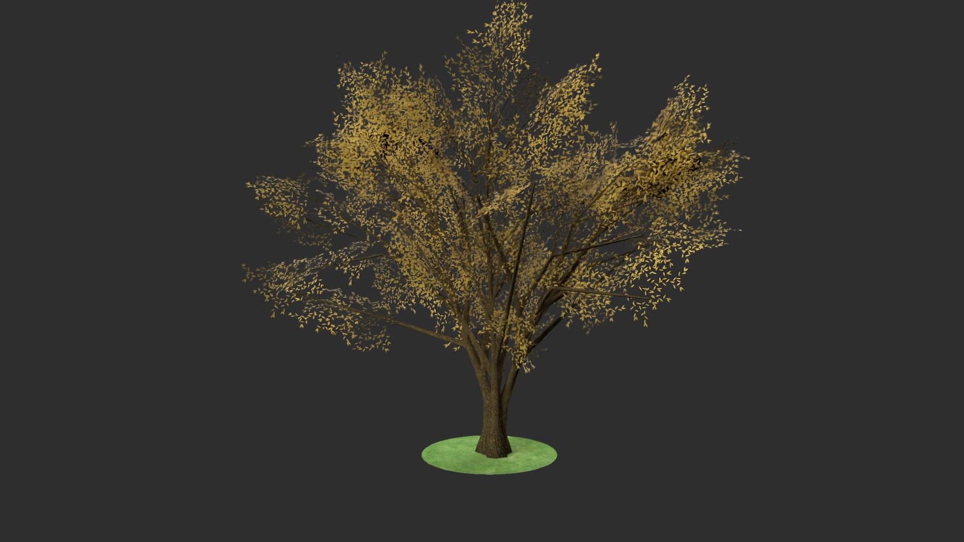 3D Almond Autumn Model - TurboSquid 1619470
