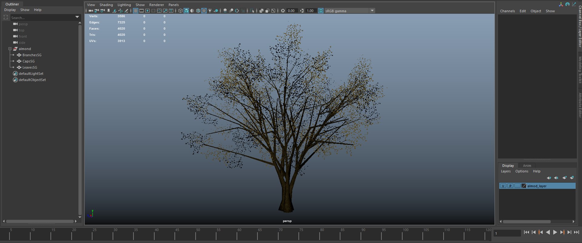 3D Almond Autumn Model - TurboSquid 1619470