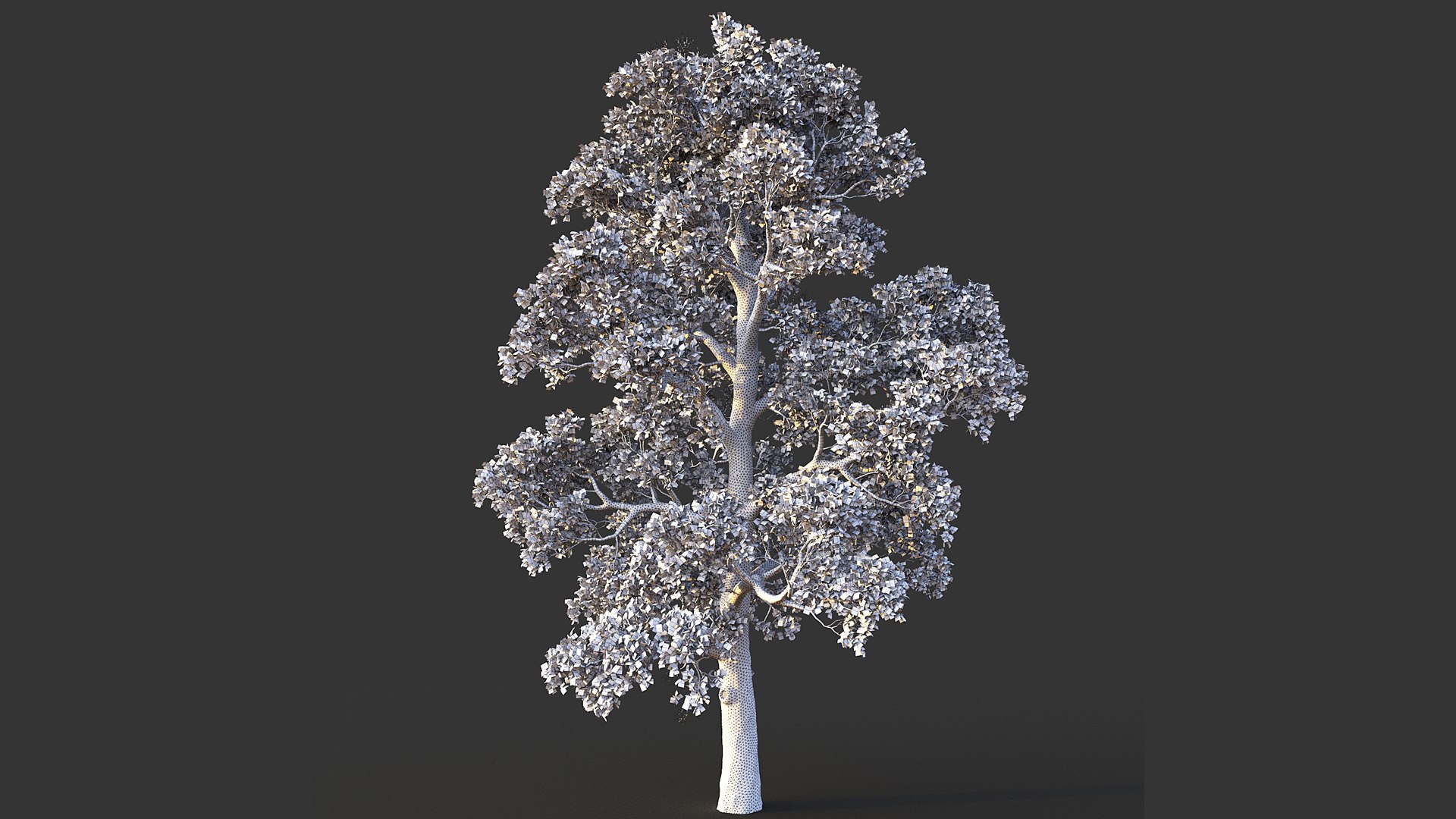 3D White Oak Set Model - TurboSquid 2085875