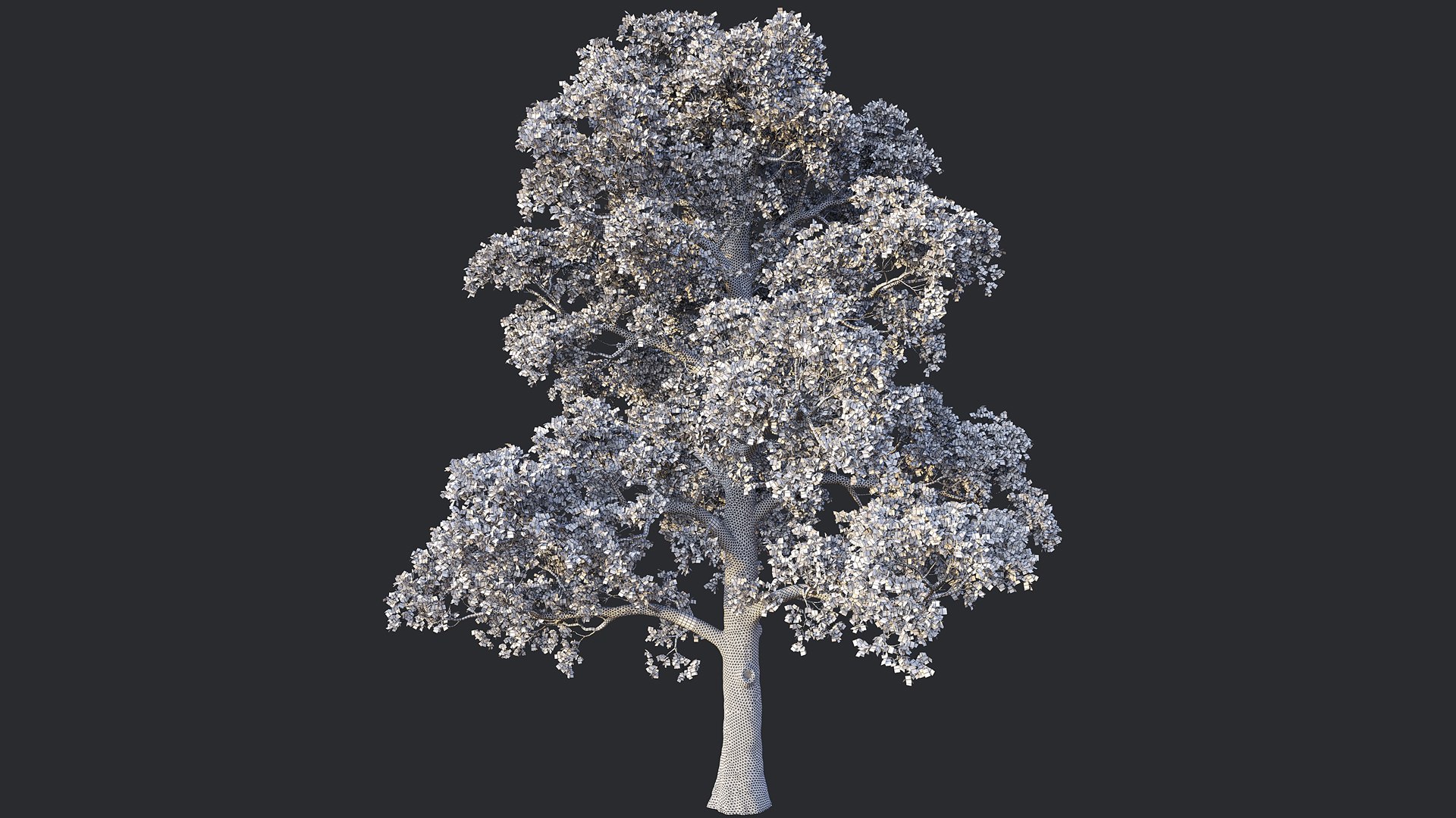 3D White Oak Set Model - TurboSquid 2085875