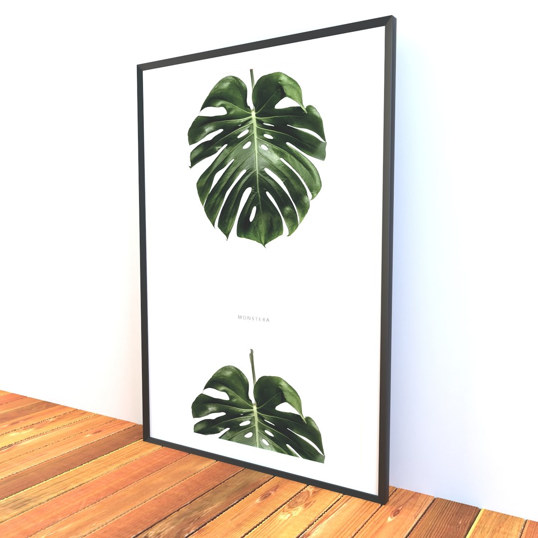 Free monstera frame 3D model - TurboSquid 1443153