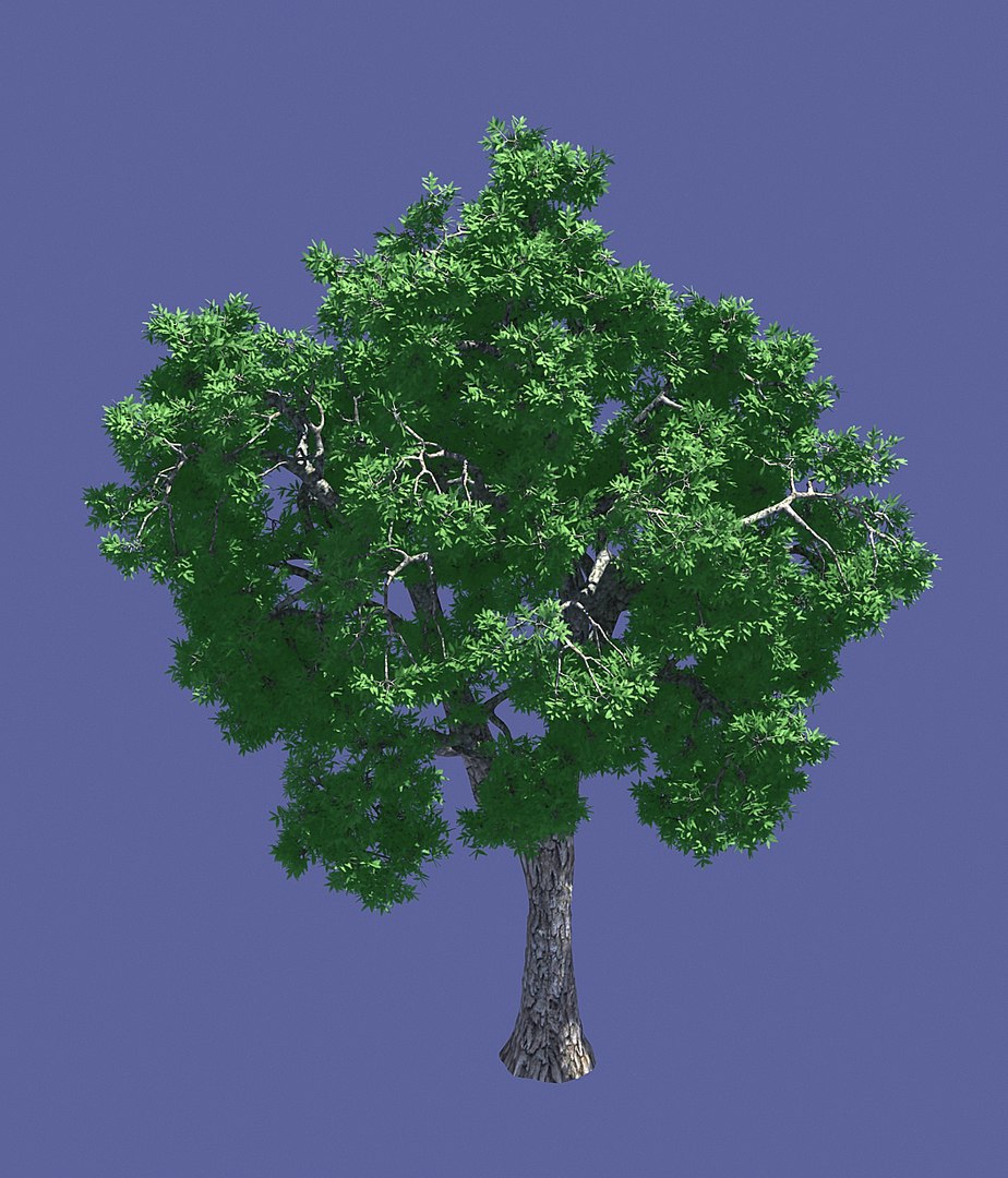 Forest - ash tree 3D model - TurboSquid 1448926