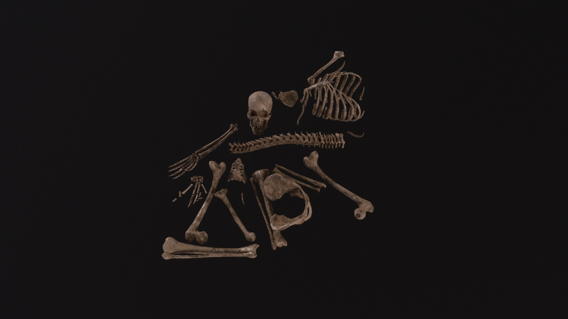 Dead Skeleton 3D Model - TurboSquid 2165083