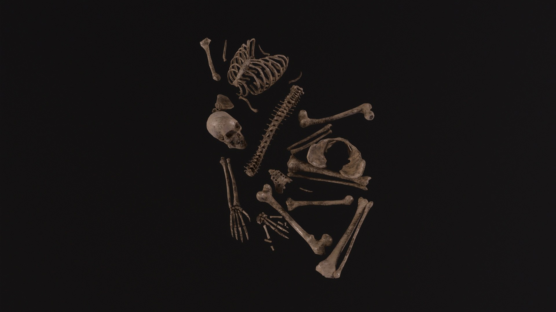 Dead Skeleton 3D Model - TurboSquid 2165083