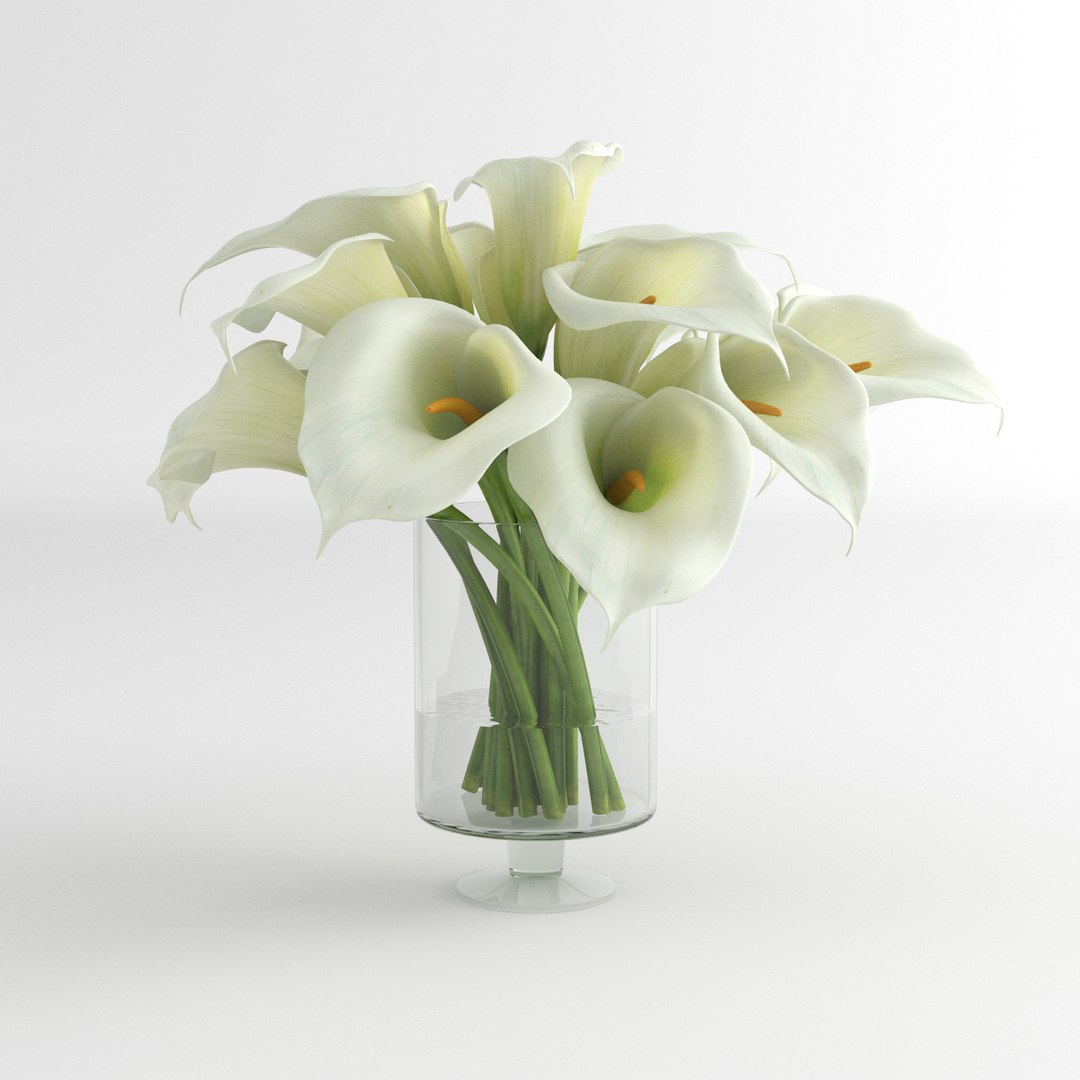 3d Calla Lily Flower Model
