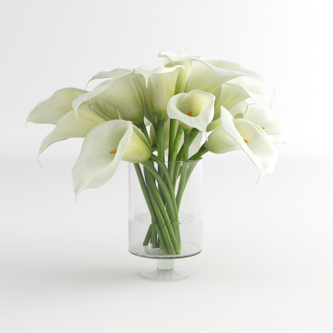 3d Calla Lily Flower Model