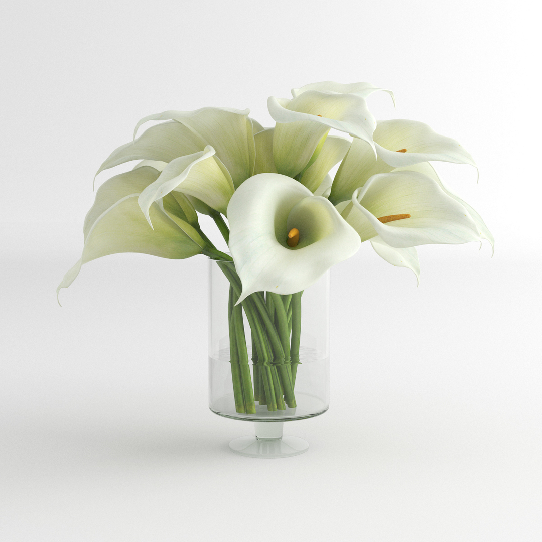 3d calla lily flower model