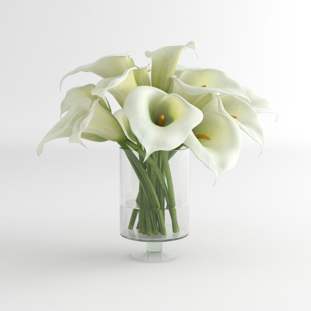 3d Calla Lily Flower Model