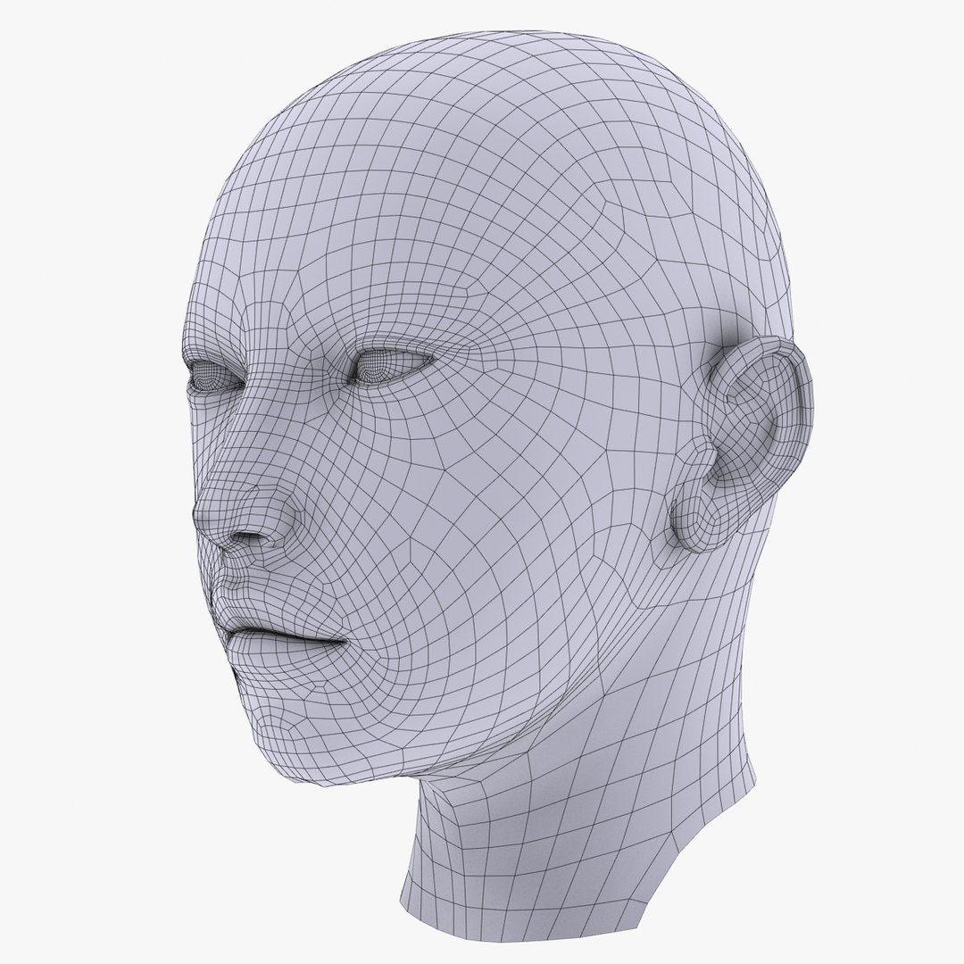 human female head 3d model