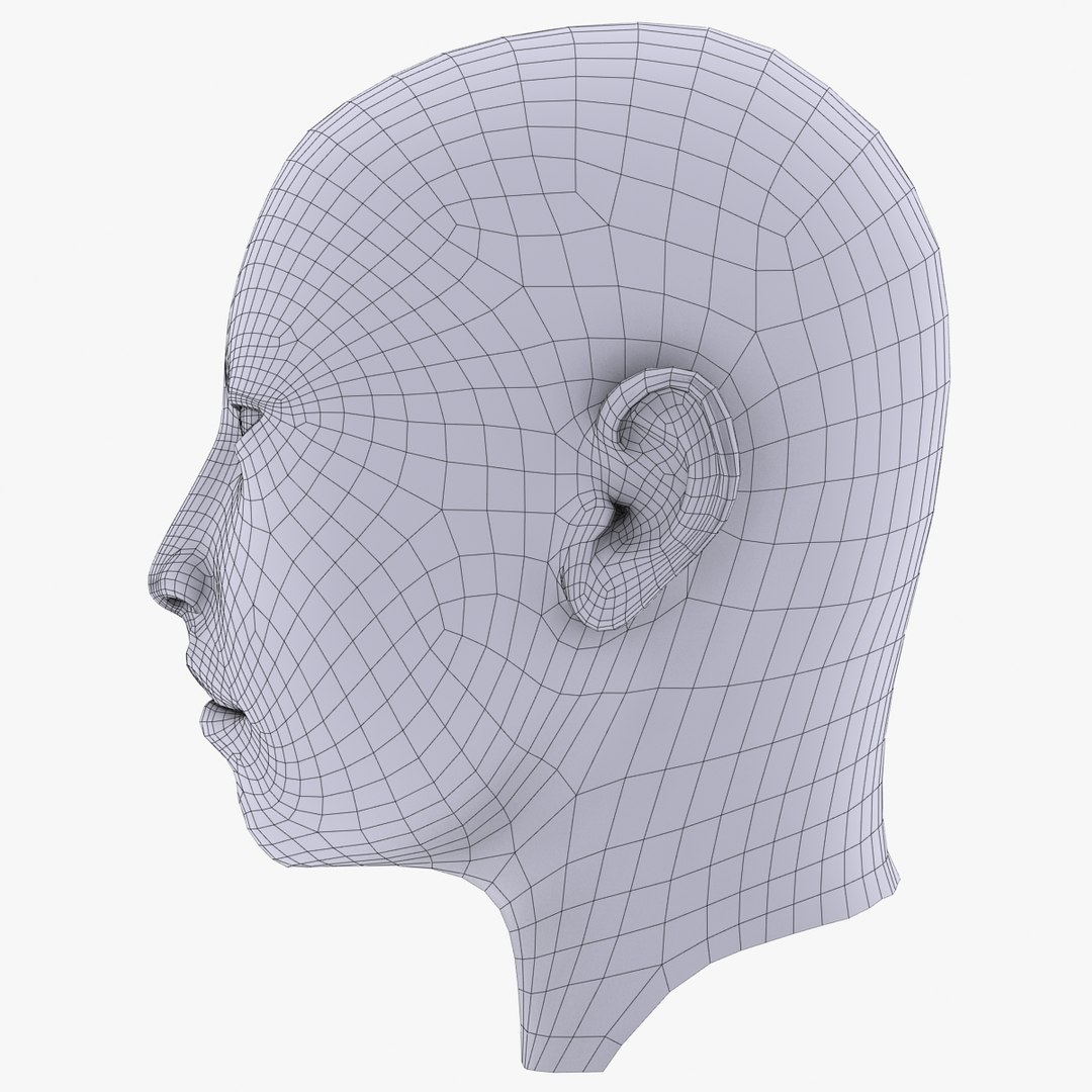 human female head 3d model
