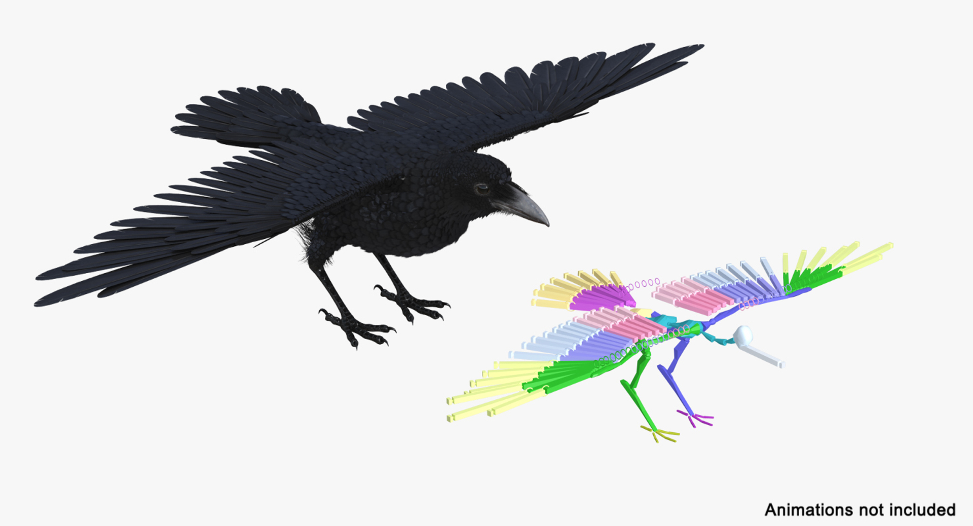 Common Raven Rigged 3D Model - TurboSquid 1304956