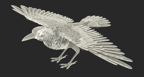 Common raven rigged 3D model - TurboSquid 1304956