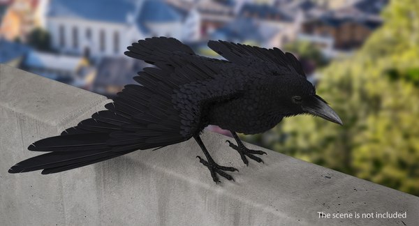 Common raven rigged 3D model - TurboSquid 1304956