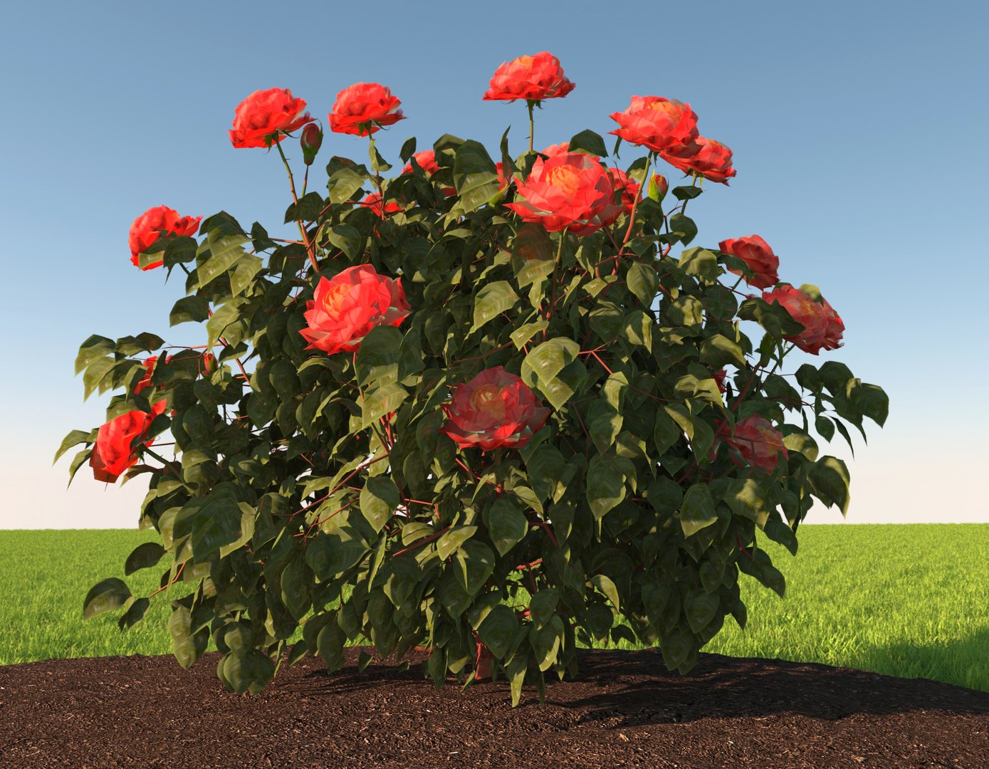 3D Model Realistic Rose Bush - TurboSquid 1389859