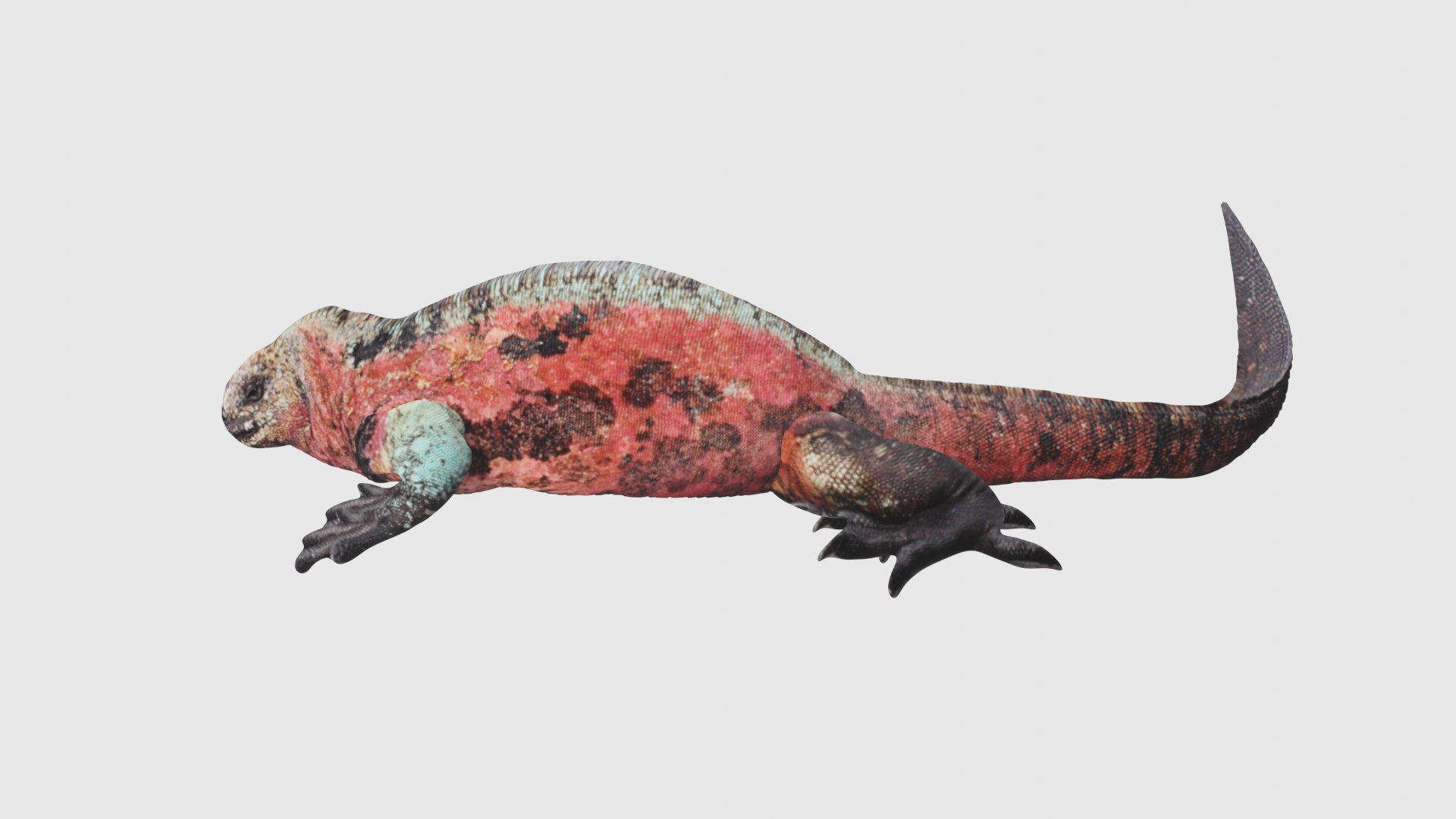 Low Poly Iguana Rigged With Realistic Texture 3D model - TurboSquid 1876189